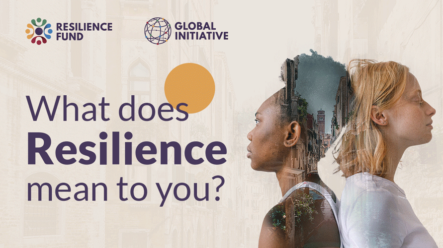 Second Anniversary of the Resilience Fund - Resilience Fund