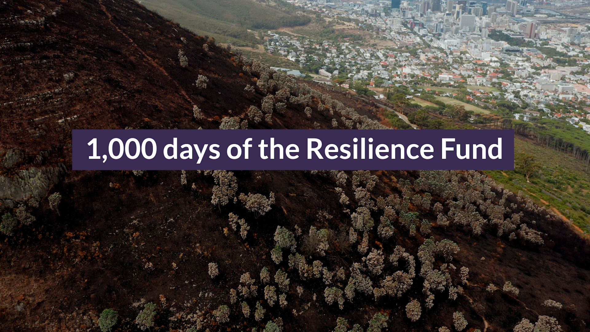 1,000 days of the Resilience Fund - Resilience Fund
