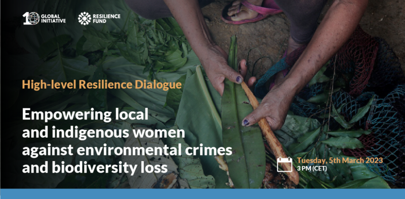 High-level Global Resilience Dialogue - Resilience Fund